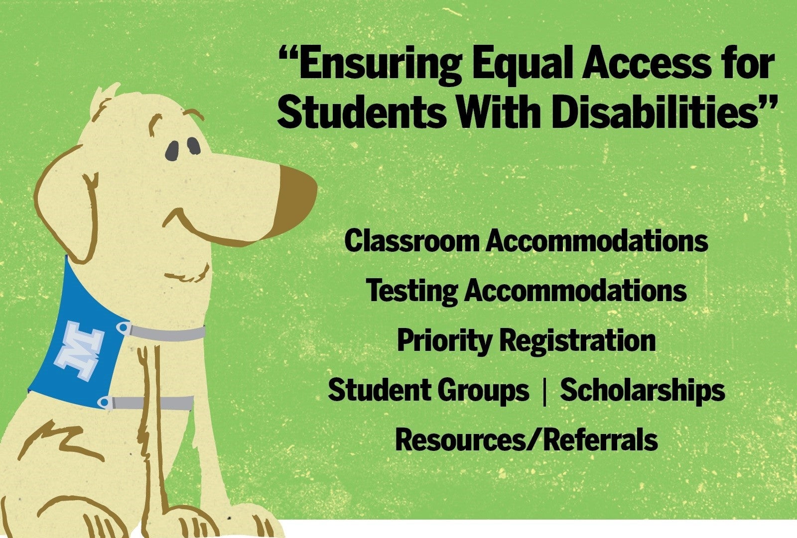 Our Services - Disability and Access